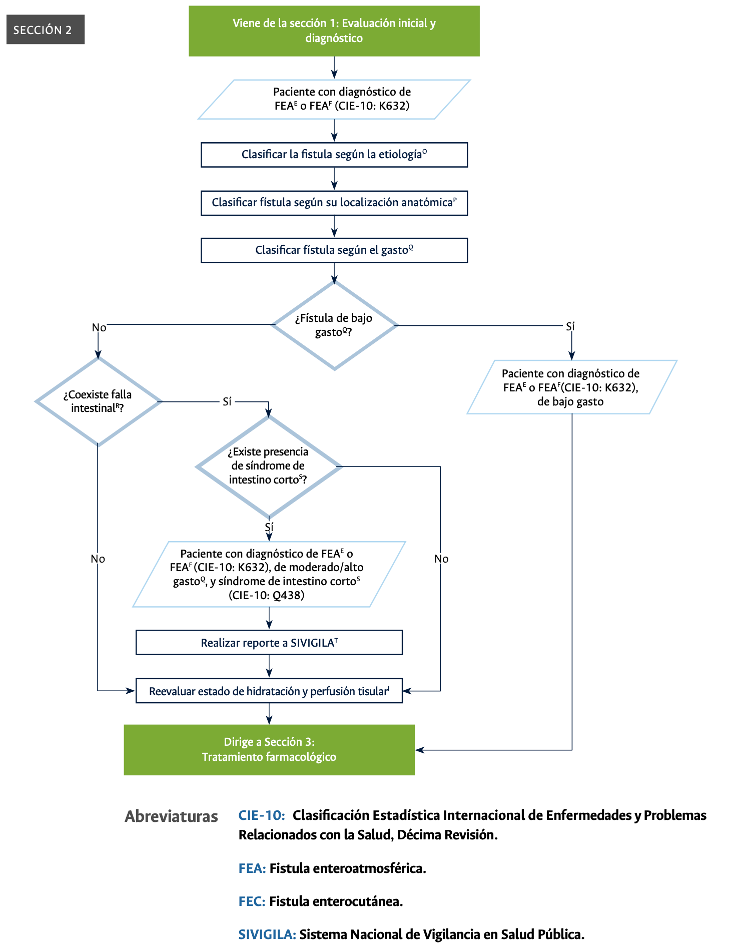 Fístula intestinal enterocutánea o enteroatmosférica en el HUN | hun